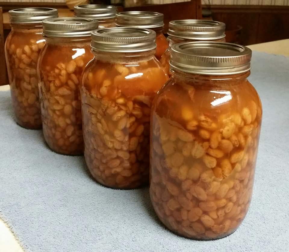 Canning Pintos | Preserving the Good Life