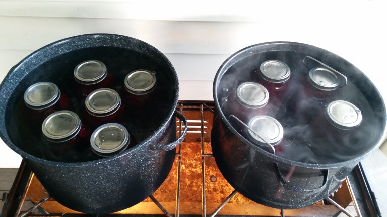Canning Pickled Beets | Preserving the Good Life