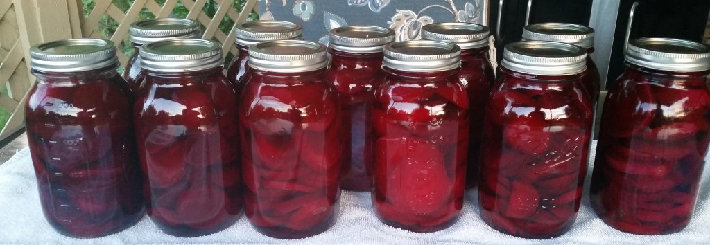 Canning Pickled Beets | Preserving the Good Life