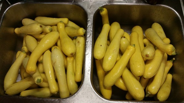 Canning Squash | Preserving the Good Life