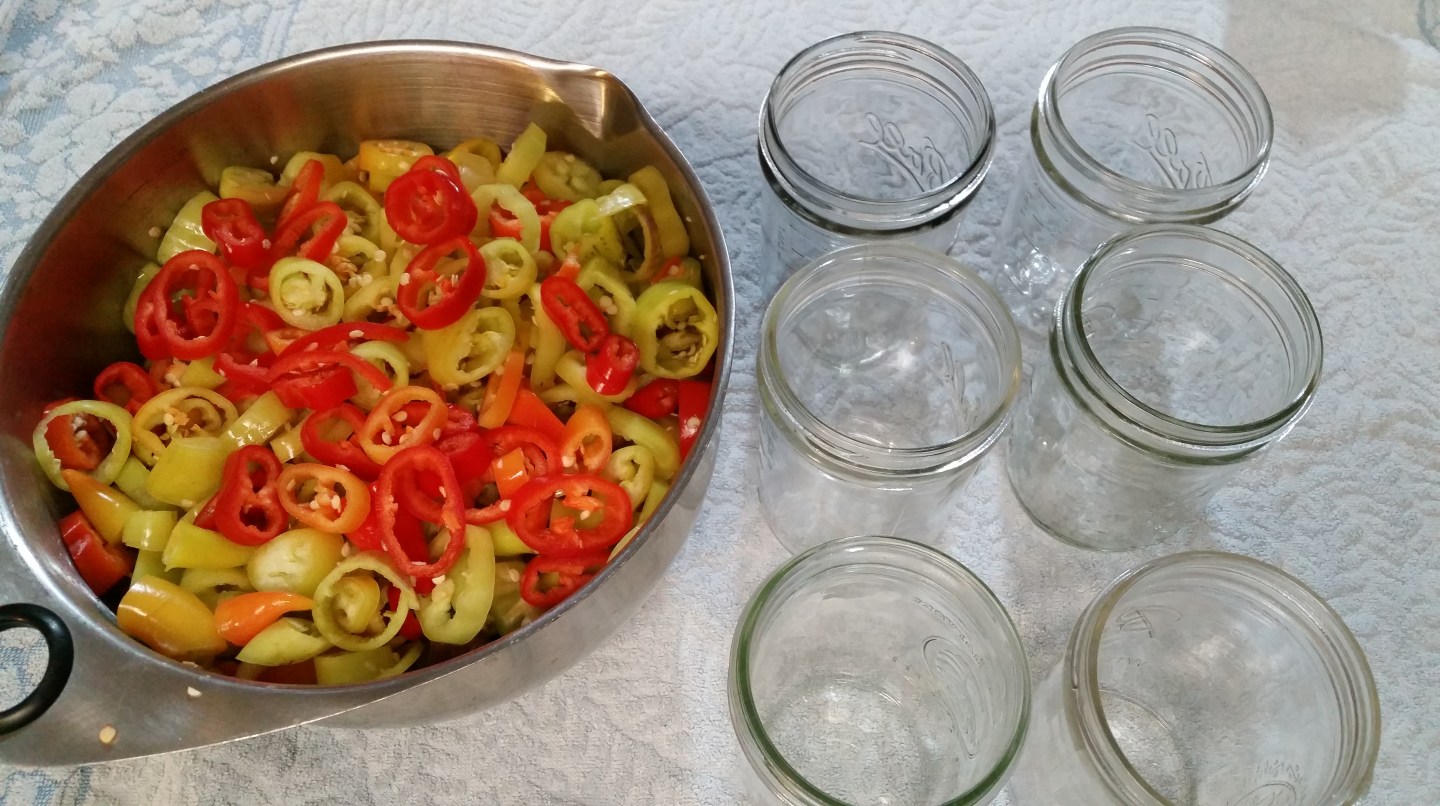 Pickled Banana Pepper Rings | Preserving the Good Life