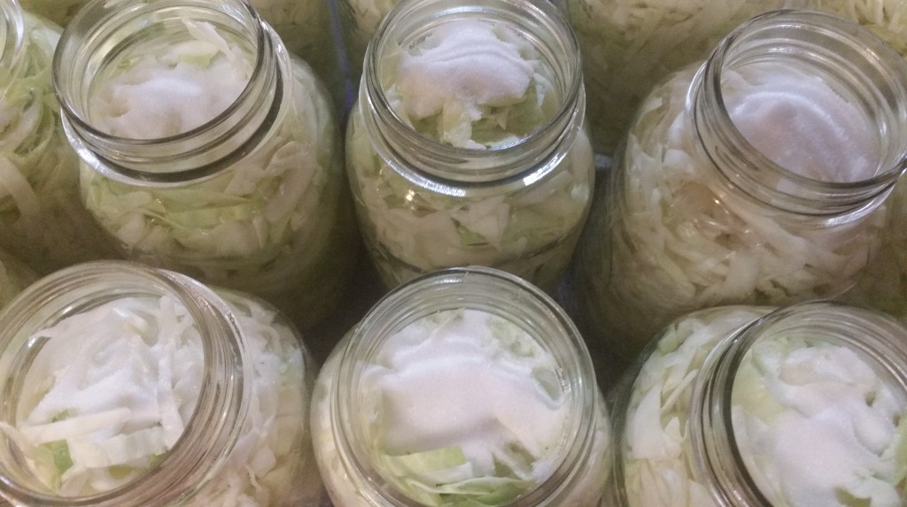 Canning Cabbage | Preserving the Good Life