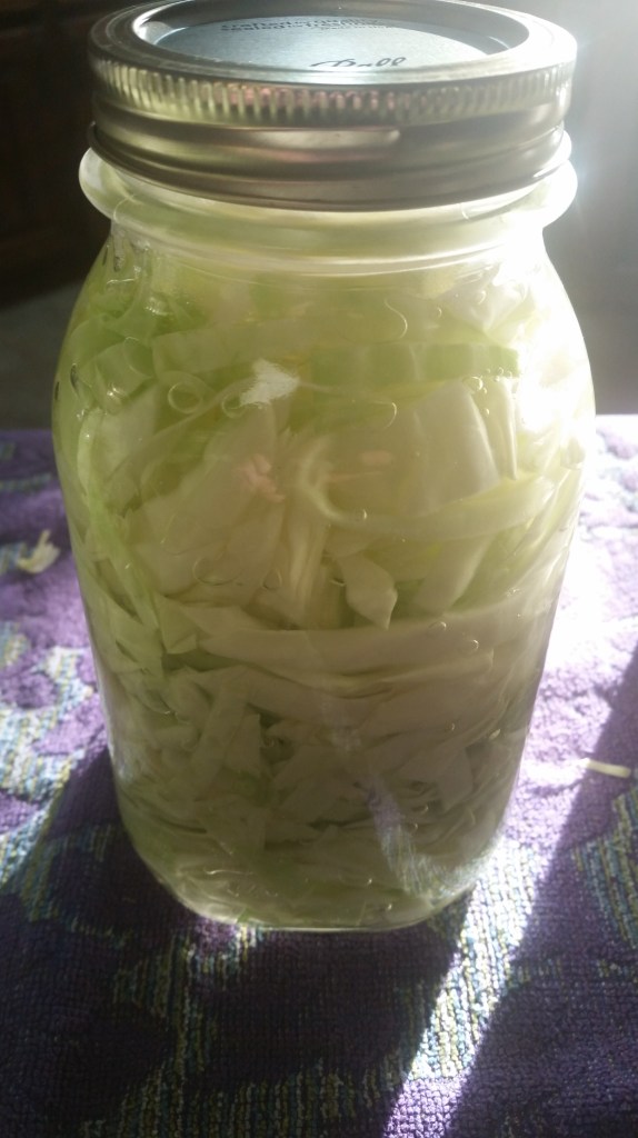 Canning Cabbage | Preserving the Good Life