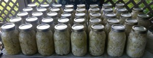 Canning Cabbage | Preserving the Good Life