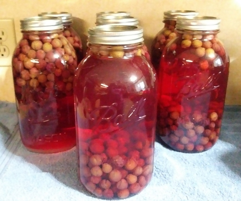 Canning Grape Juice | Preserving the Good Life