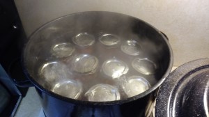 Canning Diced Tomatoes with Peppers also known as “Rotel”. | Preserving ...