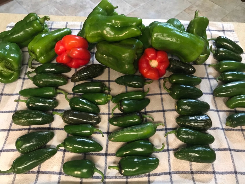 Preserving the Good Life | Preserving, canning and knowing what you're ...